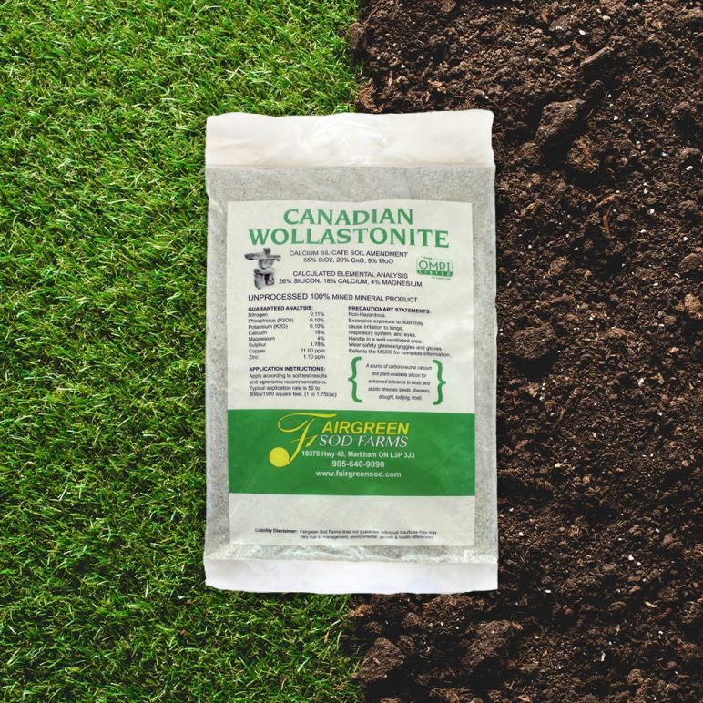 Wollastonite Archives | Fairgreen Sod, North